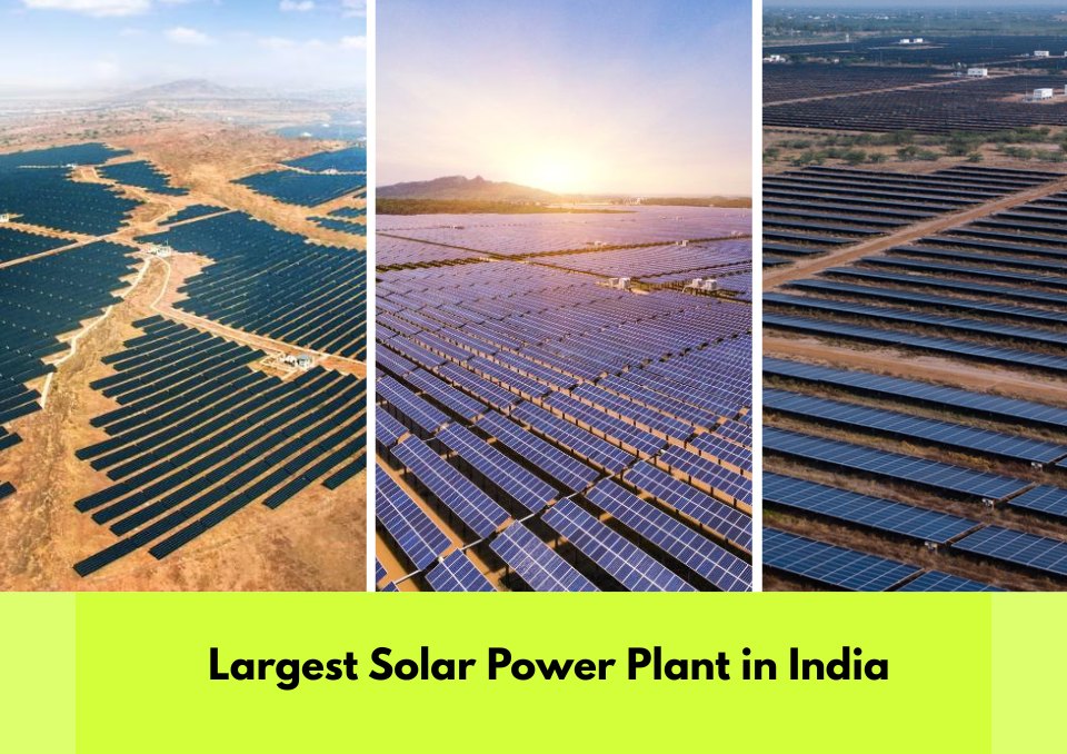 List of Top 10 Solar Panel Companies in India 2025 – Bluebird Solar