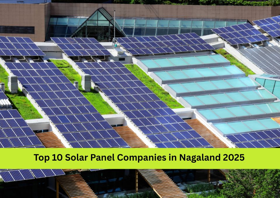 Top 10 Solar Panel Companies in Nagaland 2025 – Bluebird Solar