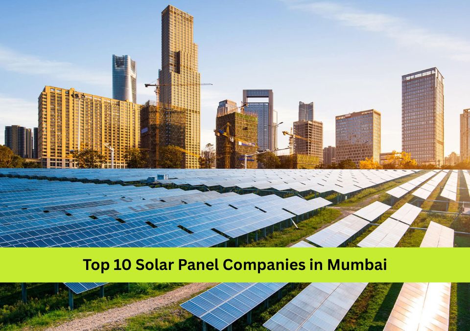 Top 10 Solar Panel Companies in Mumbai -2026 – Bluebird Solar