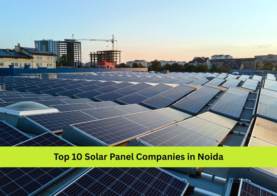 Top 10 Solar Panel Companies in Noida - 2026 – Bluebird Solar