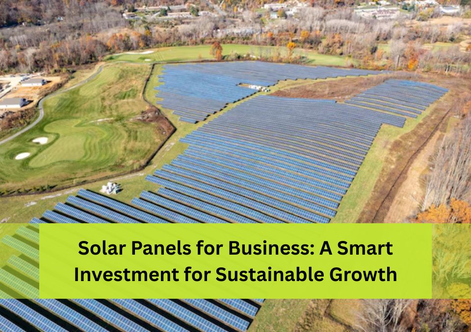 Solar Panels for Business: A Smart Investment for Sustainable Growth ...