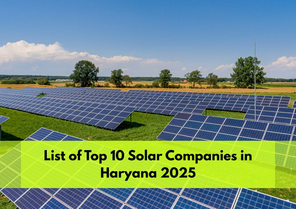 List of Top 10 Solar Panel Companies in India 2025 – Bluebird Solar